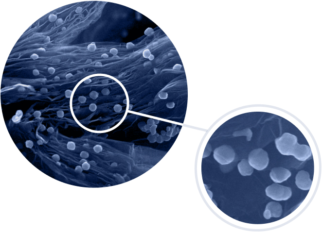 Productos y aplicaciones de nanomateriales | Nanomate