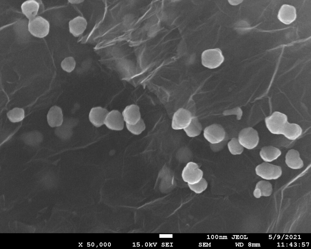 Silvergraph and Silixguard: Nanomate's latest bactericidal innovation ...